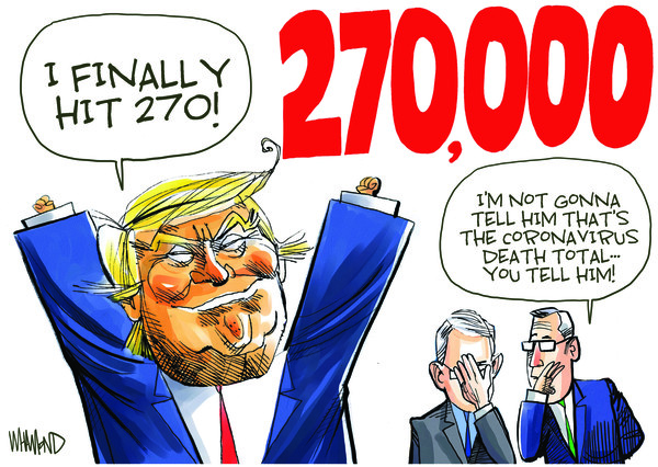 Dave Whamond for 11/22/2020 | Dave Whamond | Comics | ArcaMax Publishing