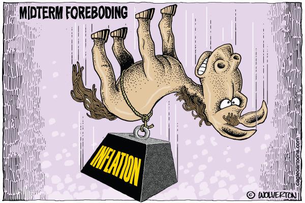 Dem Midterm Foreboding | Monte Wolverton | Comics | ArcaMax Publishing