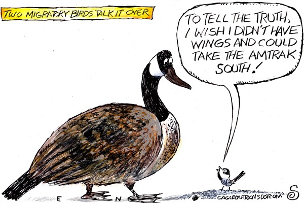 Migratory Birds | Randy Enos | Comics | ArcaMax Publishing