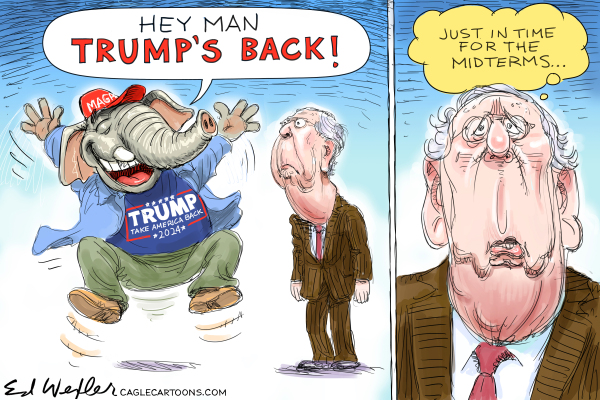 Trump Back For Midterms | Ed Wexler | Comics | ArcaMax Publishing