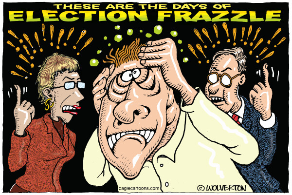 Election Frazzle | Monte Wolverton | Comics | ArcaMax Publishing