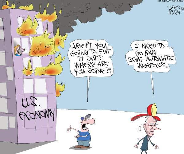 Fireman Biden | Gary McCoy | Comics | ArcaMax Publishing