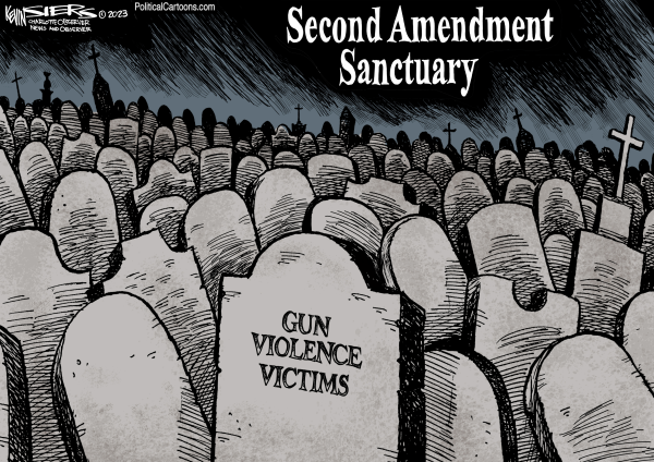 Second Amendment Sanctuary | Kevin Siers | Comics | ArcaMax Publishing