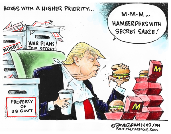 Trump and boxes | Dave Granlund | Comics | ArcaMax Publishing