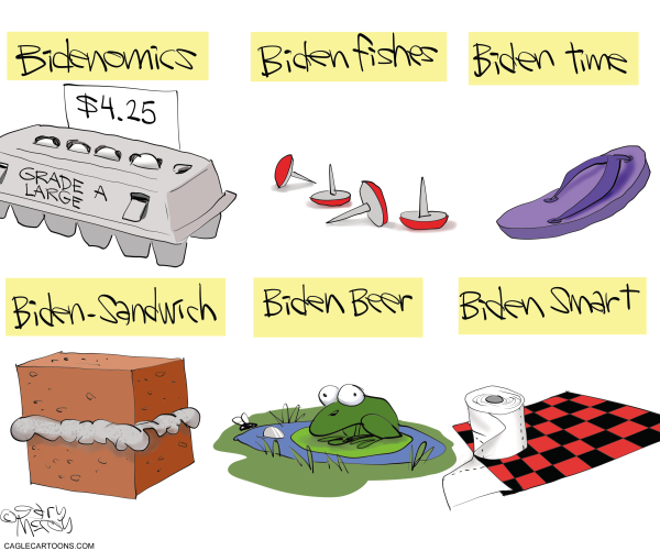 Bidenomics Everything | Gary McCoy | Comics | ArcaMax Publishing
