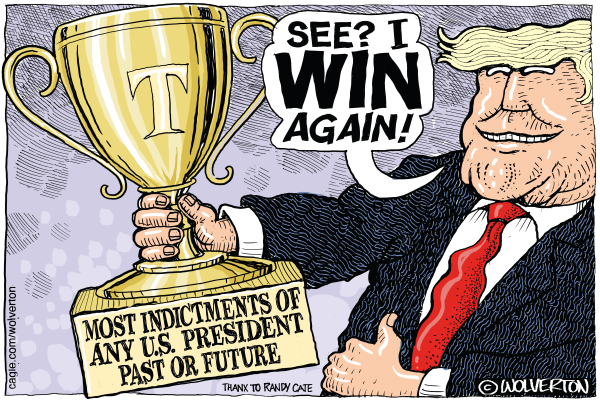 Trump Wins Again | Monte Wolverton | Comics | ArcaMax Publishing