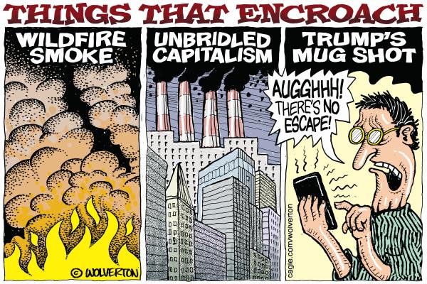 No Escaping the Mug Shot | Monte Wolverton | Comics | ArcaMax Publishing