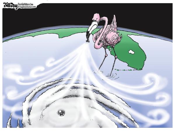 FLORIDA Hurricane Idalia | Bill Day | Comics | ArcaMax Publishing