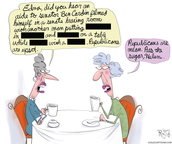 Actions Defile Senate | Gary McCoy | Comics | ArcaMax Publishing