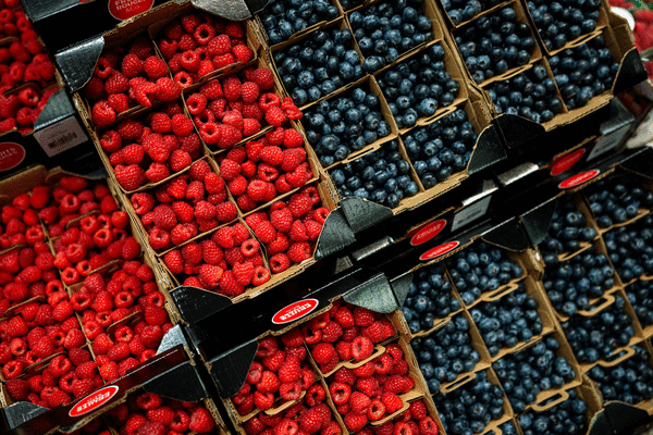 Howard Chua-Eoan: Where have all the blueberries gone? | Variety Menu ...