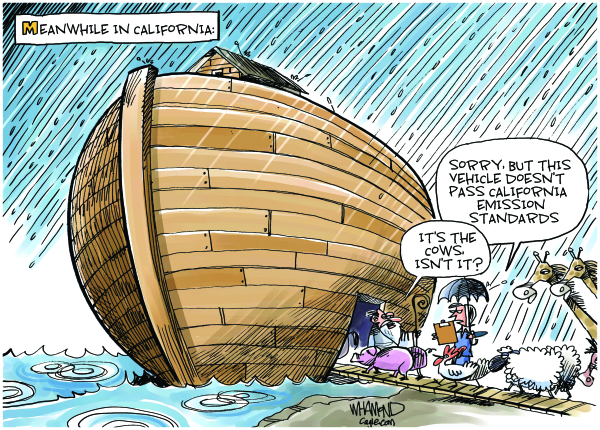 California Streaming | Dave Whamond | Comics | ArcaMax Publishing