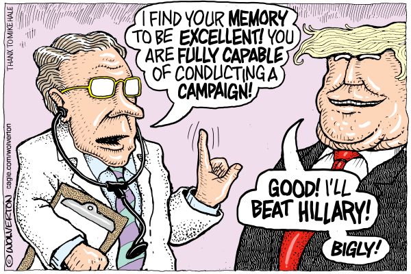 Trump Memory | Monte Wolverton | Comics | ArcaMax Publishing