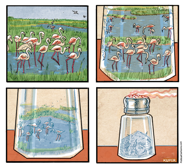 Salination Of Marshes | Peter Kuper | Comics | ArcaMax Publishing