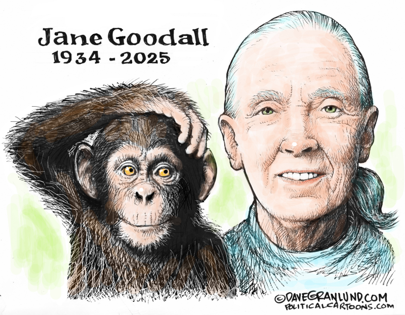 Jane Goodall tribute | Dave Granlund | Comics | ArcaMax Publishing