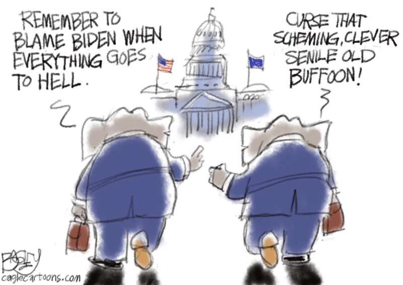 Blame Biden | Pat Bagley | Comics | ArcaMax Publishing