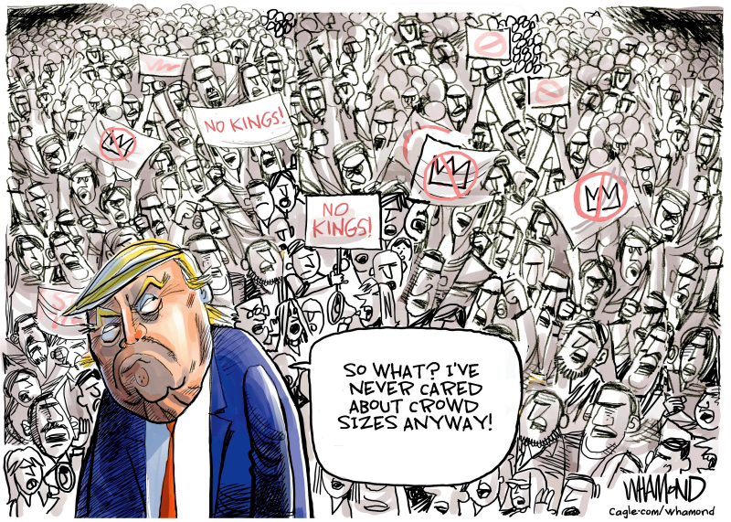No Kings rally draws millions to denounce Trump | Dave Whamond | Comics ...