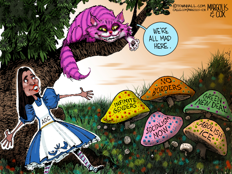 AOC In Socialist Wonderland | Margolis and Cox | Comics | ArcaMax ...