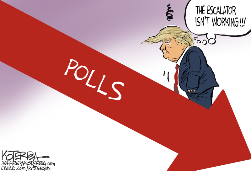 Latest polling numbers for the president | Jeff Koterba | Comics ...