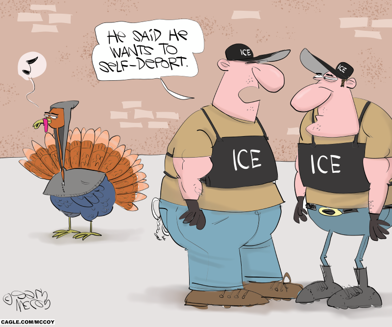Turkey's Attempt To Avoid Thanksgiving | Gary McCoy | Comics | ArcaMax ...