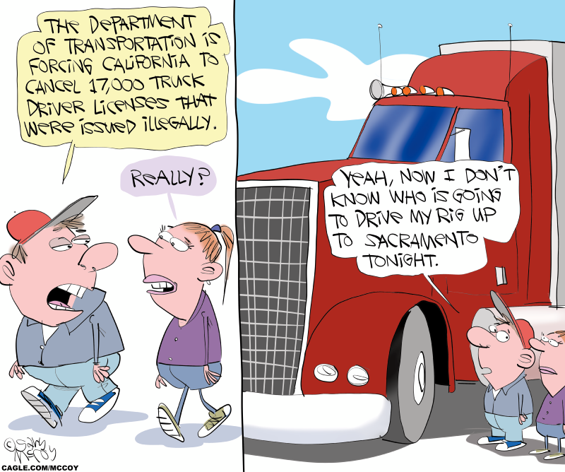 California's Illegal Truck Driver Scandal | Gary McCoy | Comics ...