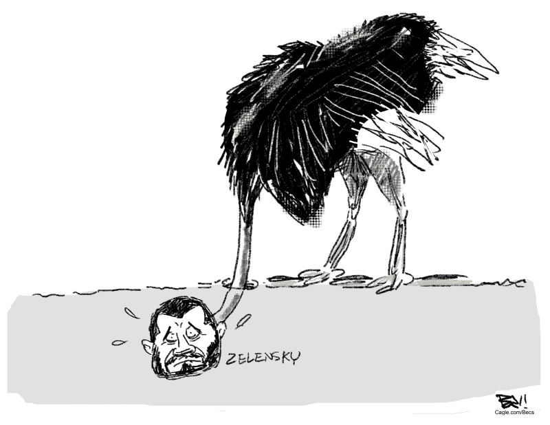 The situation in Ukraine | Michael de Adder | Comics | ArcaMax Publishing