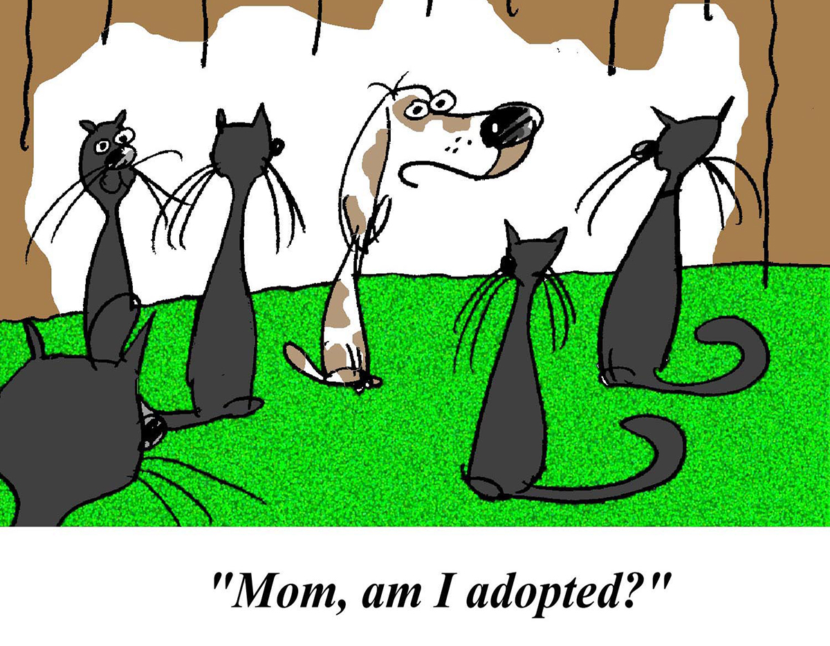 Jerry King Cartoon for 1/13/2026 | Jerry King Cartoons | Comics ...