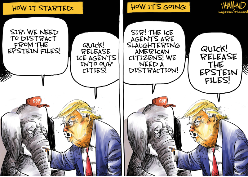 Trump distractions | Dave Whamond | Comics | ArcaMax Publishing
