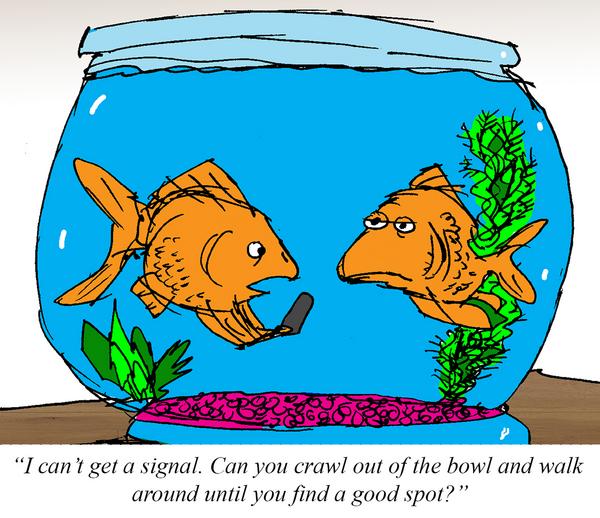 Jerry King Cartoon For 8 27 2023 Jerry King Cartoons Comics