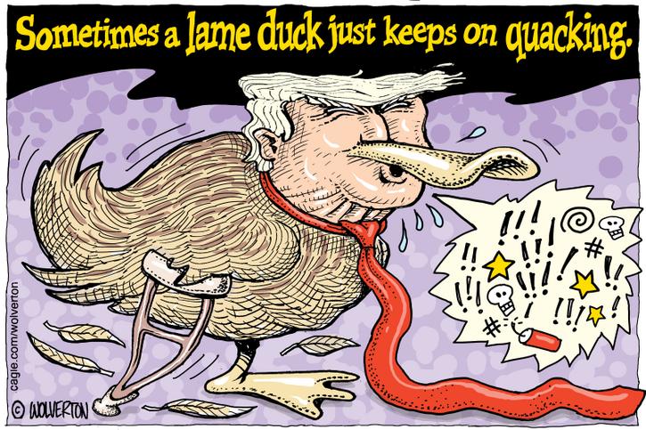 Trump as Lame Duck Quacking | Monte Wolverton | Comics | ArcaMax Publishing