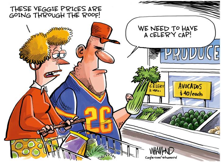 Groceries and inflation | Dave Whamond | Comics | ArcaMax Publishing