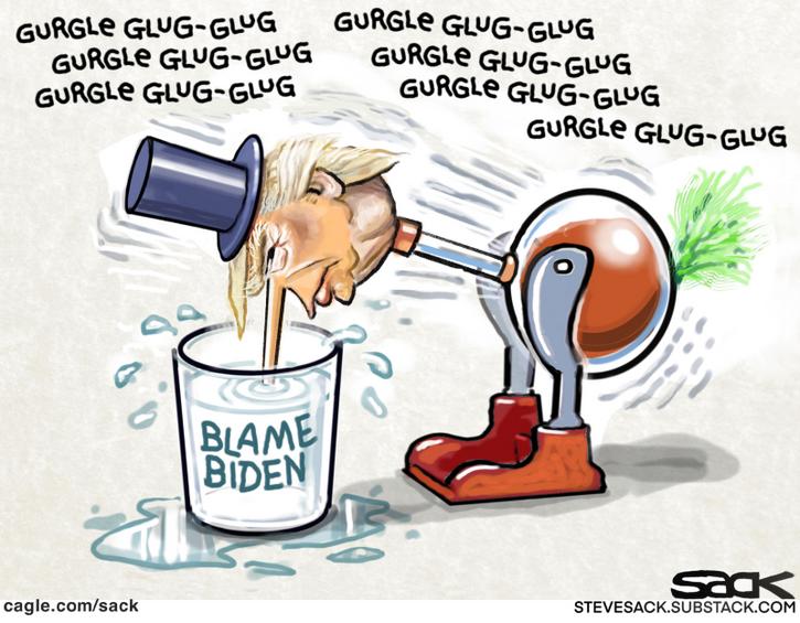 Trump's Endless Blame-Biden Drinking Bird | Steve Sack | Comics ...